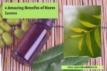 Benefits of Neem Leaves: 6 Amazing Ways to Boost Your Health